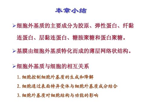细胞连接、细胞粘附与细胞外基质 细胞生物学 课件1 08 Word文档在线阅读与下载 无忧文档