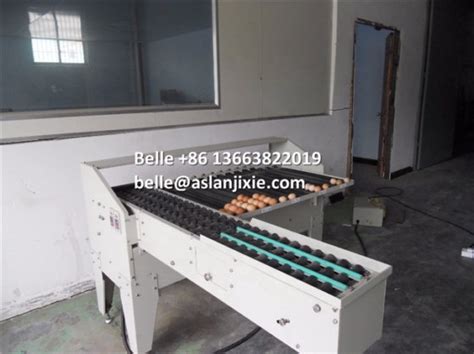 Farm Egg Sorting Machine Duck Egg Preserved Grading Machine Egg Weight Grader Classifier Machine