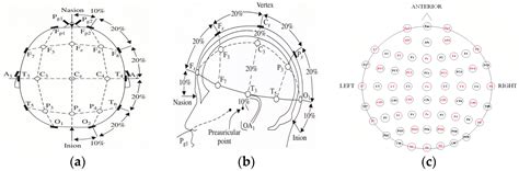 Sensors Free Full Text Feature Pyramid Networks And Long Short Term Memory For Eeg Feature