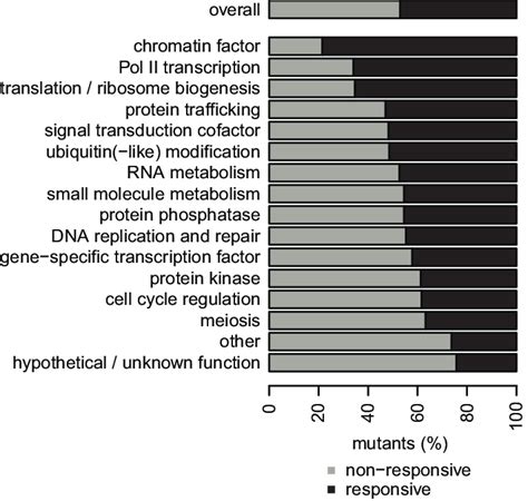 Distribution Of Non Responsive Behavior Percentage Of Non Responsive Download Scientific