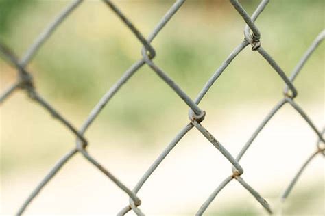 Wire Mesh And Welded Wire Mesh What S The Difference