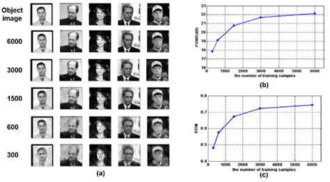 the psnr and ssim curves at different sampling ratios download