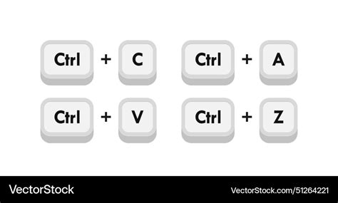 Different Computer Keyboard Buttons Combinations Vector Image