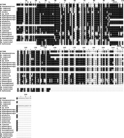 Clustal W Alignment Of Partial Acs Amino Acid Sequences Position 1 In