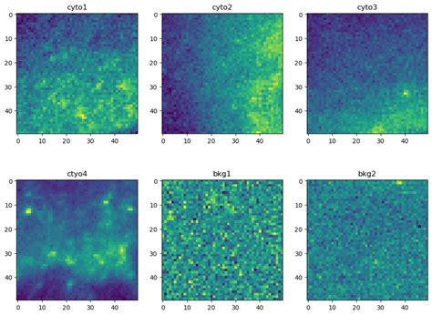 Gray Level Co Occurrence Matrices GLCM PyImageJ Documentation