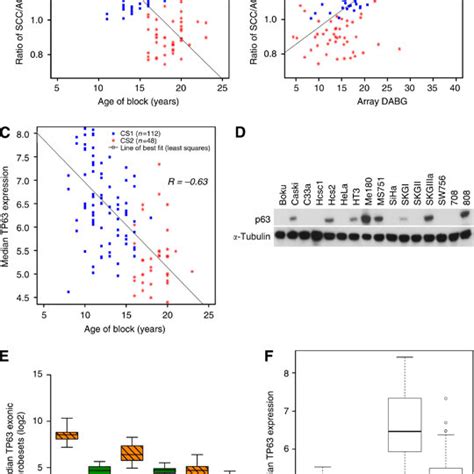 The Age Of The Ffpe Block Is Associated With Loss Of Biological Signal Download Scientific