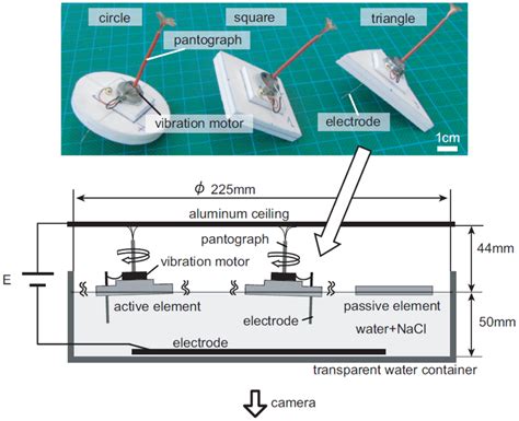 Schematics Of Experimental Setup With Three Elements Active Elements Download Scientific