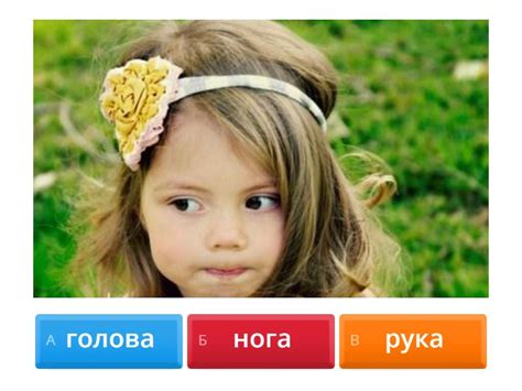 Части тела Quiz