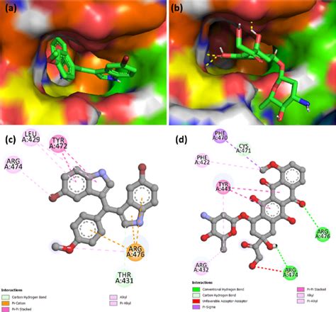 Docking Pose Of A Compound 1f And B Doxorubicin And Binding