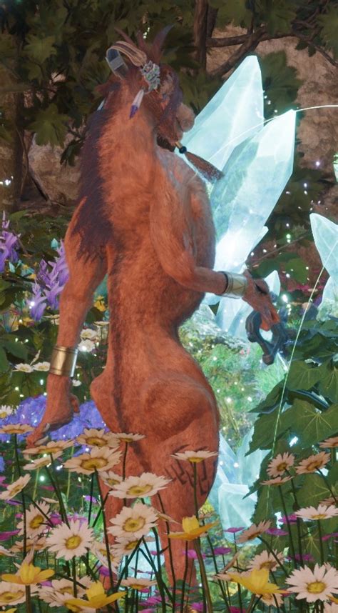 Checks Out Album On Imgur