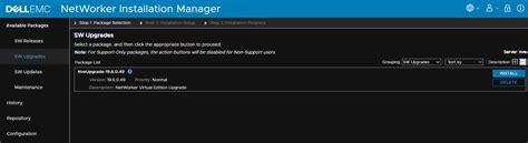 Networker Virtual Edition How To Upgrade Networker Software And Nve System Dell Us