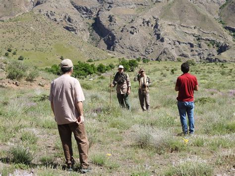 طبیعت و حیات وحش دیدنی، بیخ گوش تهران محافظینی که گیاه و حیوان‌اند عکس تسنیم