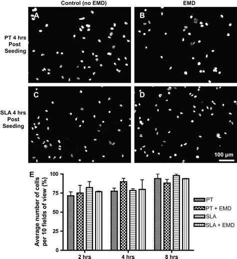Figure 2 From The Effect Of Enamel Matrix Proteins On The Spreading Proliferation And