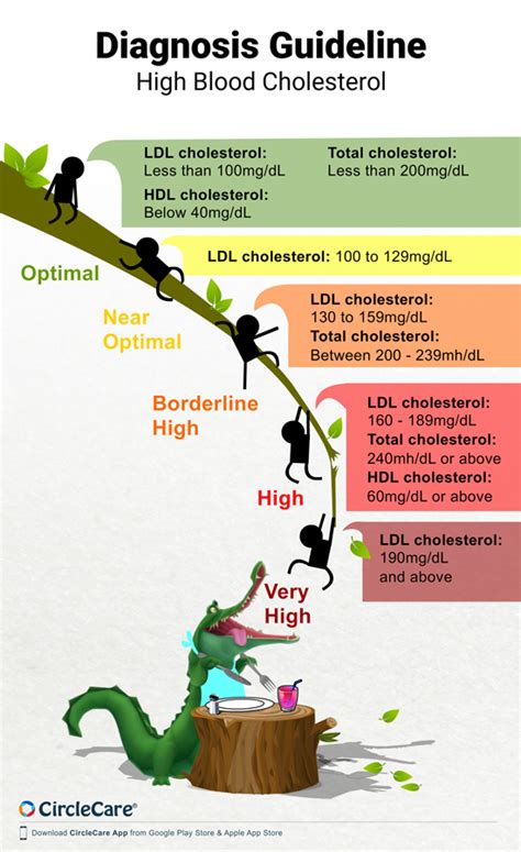 Infographic Diagnosis Of High Blood Cholesterol Circlecare
