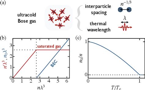 Figure 1 From Interacting Bose Condensed Gases Semantic Scholar