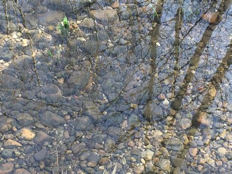 무료 이미지 자연스러운 록 근본적인 지질학 흙 벽 자갈 잔디 나무 식물 노면 아스팔트 돌담 화강암 조약돌 콘크리트 3264x2448