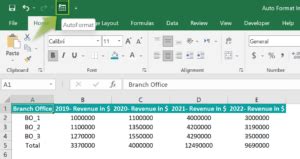 Auto Format In Excel Examples How To Unhide And Use