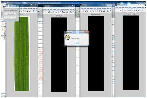 Healthy Leaf Detection Of Paddy Download Scientific Diagram