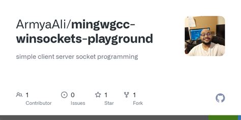 GitHub ArmyaAli Mingwgcc Winsockets Playground Simple Client Server Socket Programming