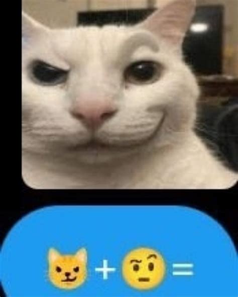 Gatitos Para Todo🐈🇨🇱 Gatitosparatodo • Instagram Photos And Videos