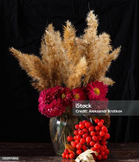 꽃과 베리 가을은 어두운 배경에 여전히 생활 갈대 패닉 국화 꽃 나무 테이블에 로완 베리와 아름다운 소박한 정물 0명에 대한 스톡 사진 및 기타 이미지 Istock