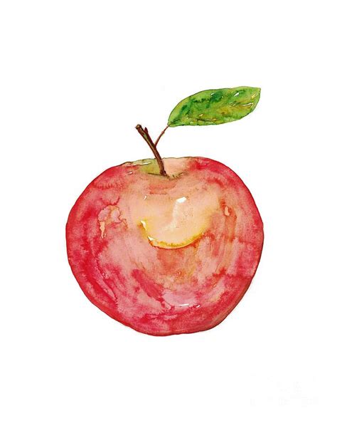 Apple Drawing Still Life At Austin Clow Blog