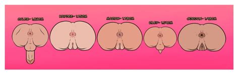 Rule 34 Ass Caleb Cid Kallms Character Profile Character Sheet Cid