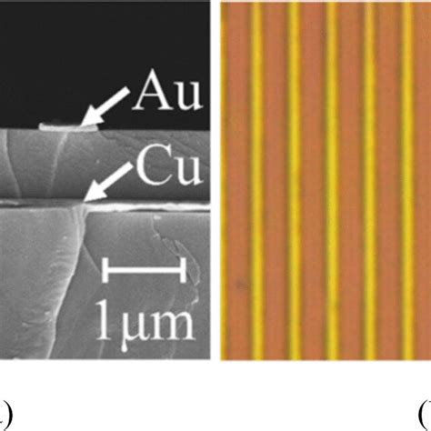 A Cross Sectional Sem Image Of Fabricated Waveguide Grating Without