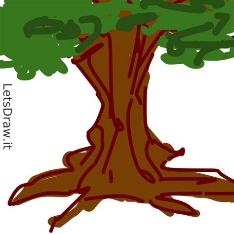 How To Draw Trees LetsDrawIt