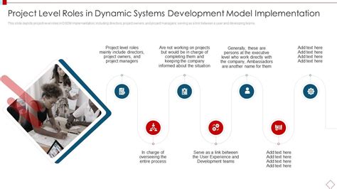 Project Level Roles In Dynamic Systems Development Model Implementation Presentation Graphics