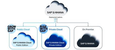 The Structure Of The Sap Hana Database Tables Are Column Oriented Meaning All Data For A Single