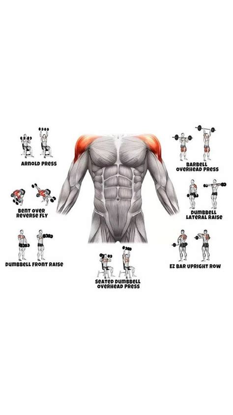 7 Best Shoulder Exercises👌 Shoulder Workout Best Shoulder Workout Workout Fits Women