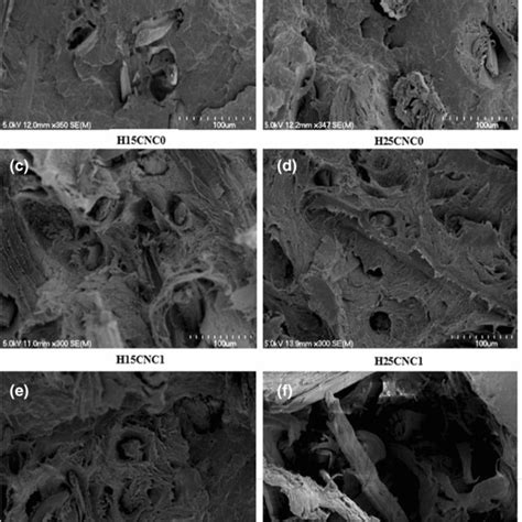 Scanning Electron Micrographs Of Tensile Fracture Surfaces Of
