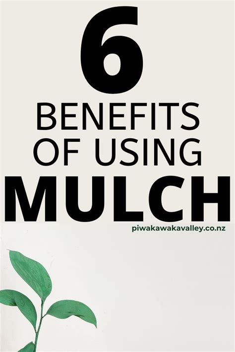 Benefits Of Mulching How To Grow A Prolific Garden How To Mulch