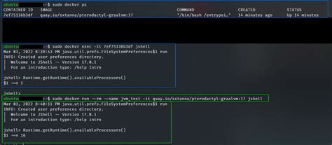 JVM Available Processors Incorrect Issue Pterodactyl Panel GitHub