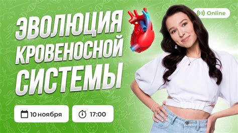 ЭВОЛЮЦИЯ КРОВЕНОСНОЙ СИСТЕМЫ БИОЛОГИЯ ОГЭ 2023 99 БАЛЛОВ Youtube