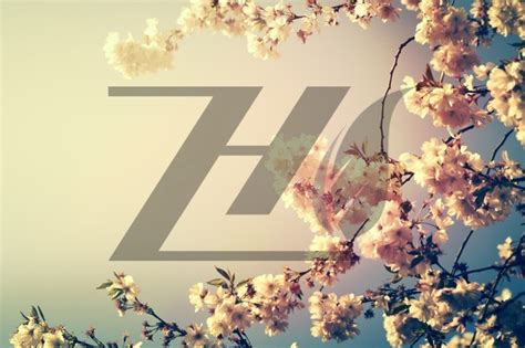 دانلود بکگراند دسکتاپ گل های درخت گیلاس دانلود رایگان فایل لایه باز