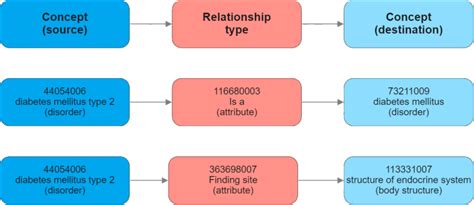 What Is Snomed Ct An Introduction