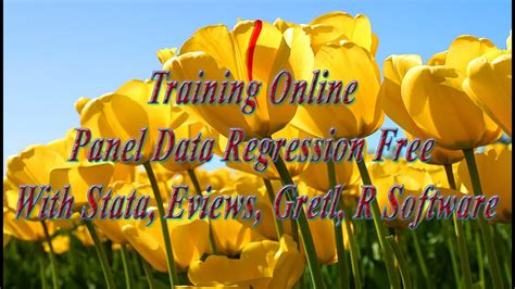 training online panel data regression free with stata eviews gretl r