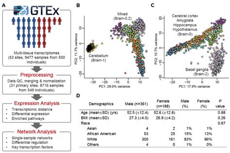 Gtex Network Analysis