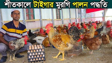 নারায়নগঞ্জের উদ্যোক্তা শাহ জালাল ভাইয়ের টাইগার মুরগির খামার।শীতকালে মুরগি পালন পদ্ধতি Youtube