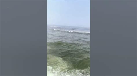 Enjoy The Ocean Waves 😂 Vlog Ocean Waves Trending India Sharegram Youtube