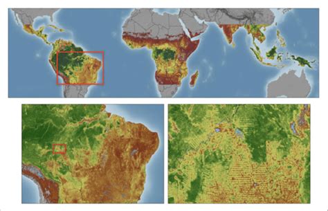Map Of Live Woody Vegetation Aboveground Biomass Across The Download Scientific Diagram