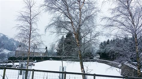 눈 덮개 나무 집과 달 화이트와 아름 다운 겨울 장면 아크 엥가 딘 데 일 노스 요크 셔 0명에 대한 스톡 사진 및 기타 이미지 Istock