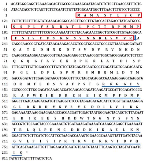 Sequence Conserved Domain Multiple Sequence Alignment And Download Scientific Diagram