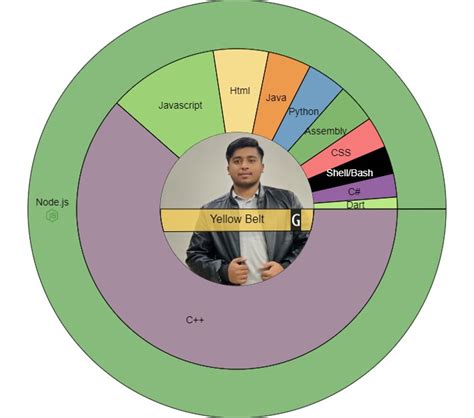 Talha Shahids Coding Expertise Talha Shahid