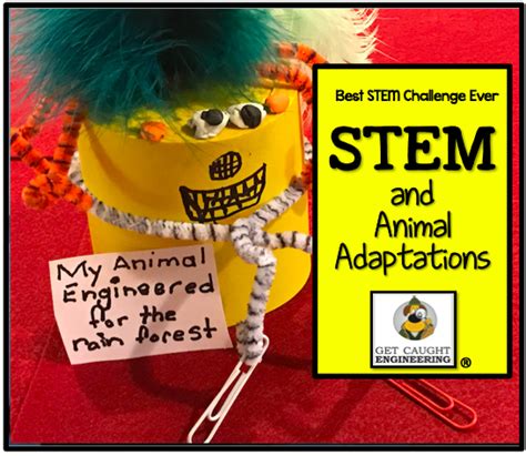 Animal Adaptation And Stem Archives Get Caught Engineering Stem