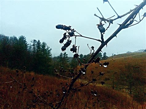 Forbidden Paths Morningexplorers Blog