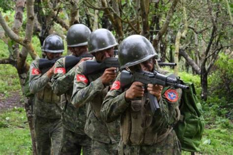 အမ်းကို စစ်ကြောင်းထိုးရန်ပြင်ဆင်ထားသည့် အမြောက်စခန်းကို Aaဝင်ရောက်တိုက်ခိုက် သိမ်းပိုက