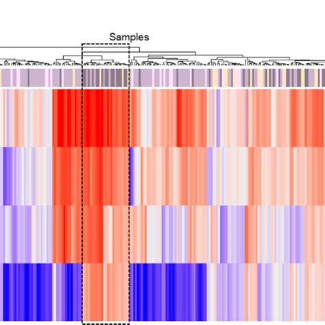 Gastric In Silico Set Unsupervised Hierarchical Clustering Analysis